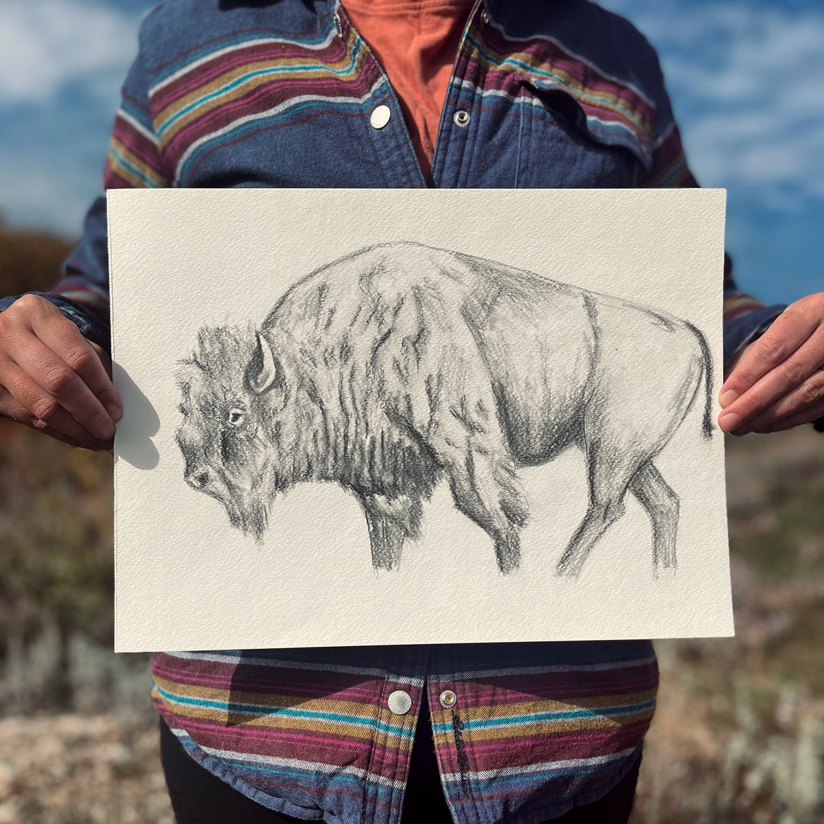 Bison art, western art, icon of the west, bison drawing, sketch ...